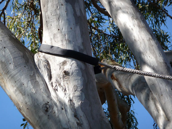 Tree Restraint Wollstonecraft - Total Height Safety (A RISE® Company)
