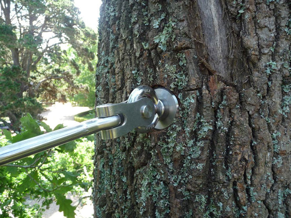 Structural Tree Restraint - Total Height Safety (A RISE® Company)